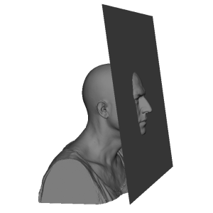 Refractive Portrait